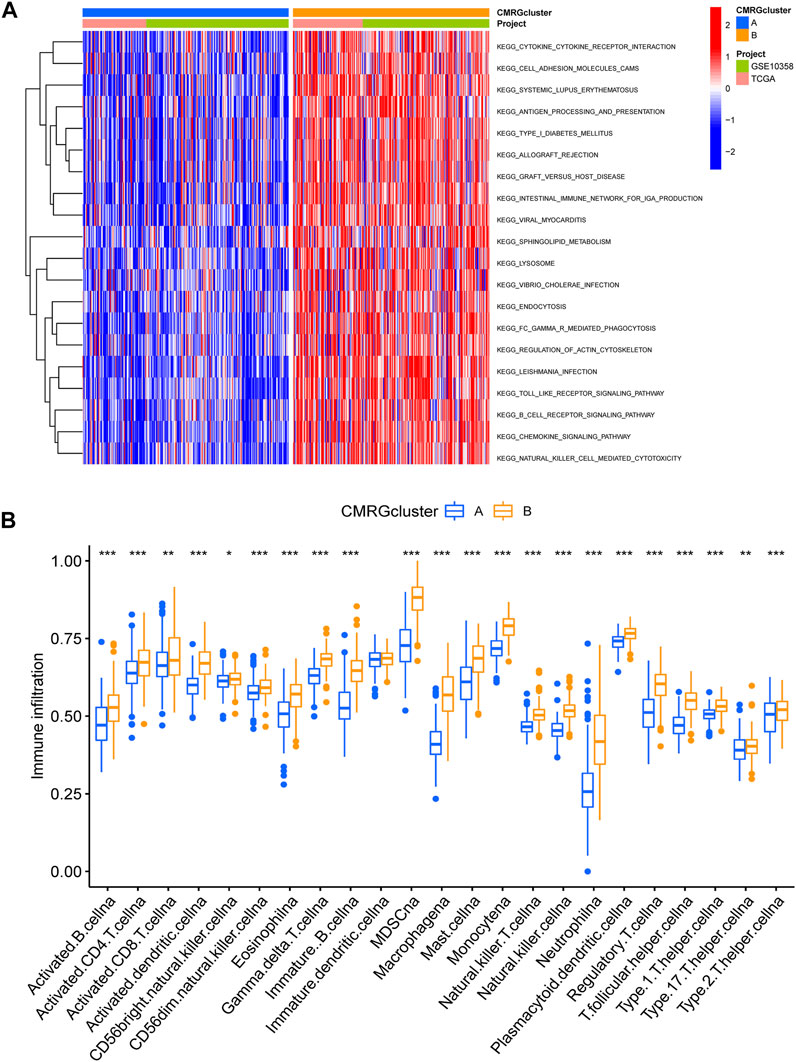 Frontiers Identification Of A Prognostic Model Based On Costimulatory