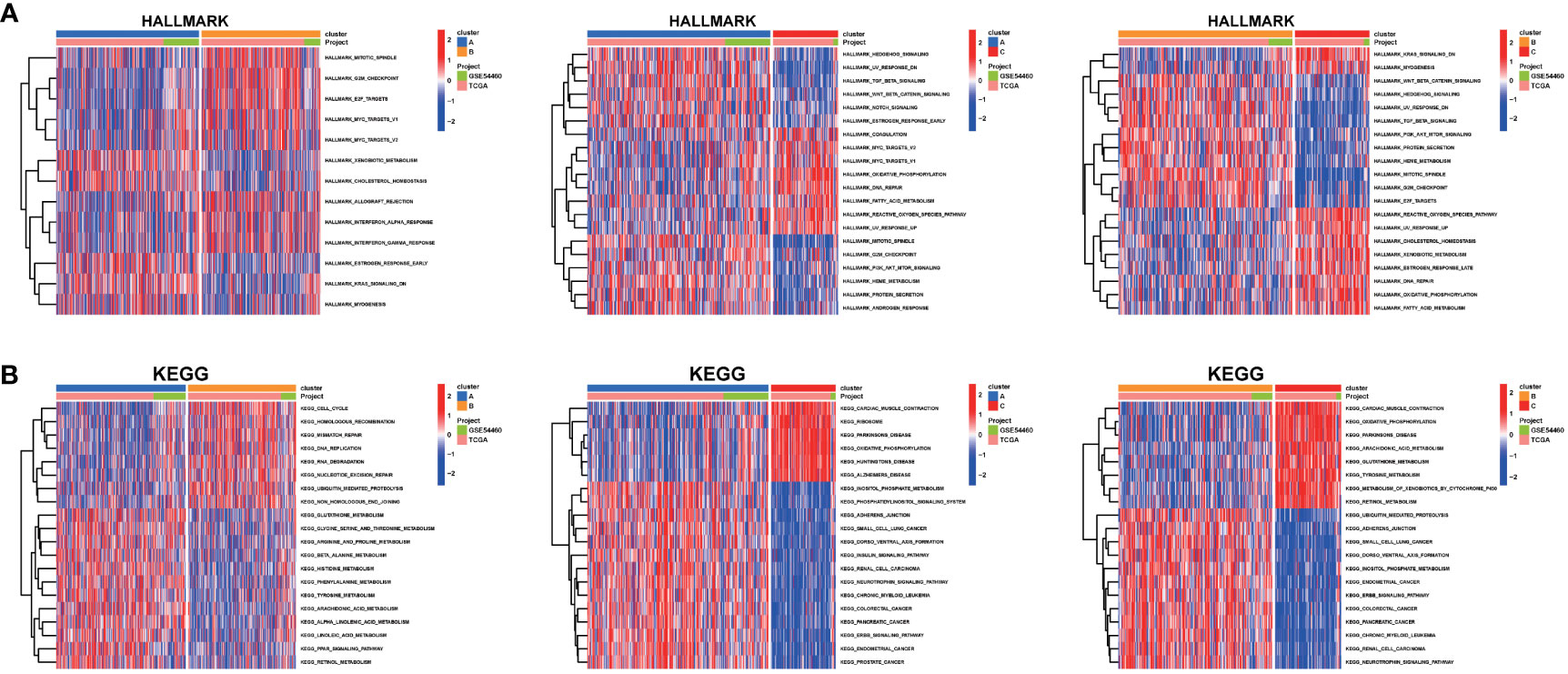 Frontiers Identification Of Cuproptosis Related Subtypes The