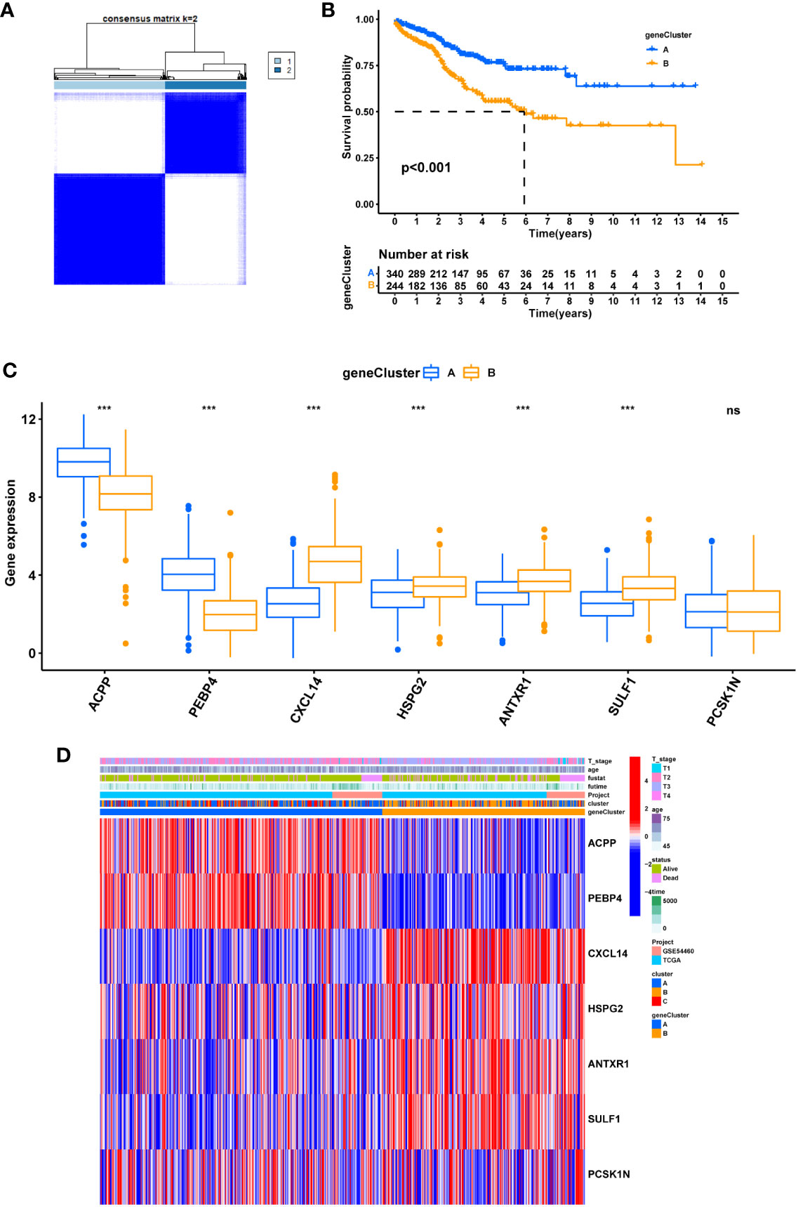 Frontiers Identification Of Cuproptosis Related Subtypes The