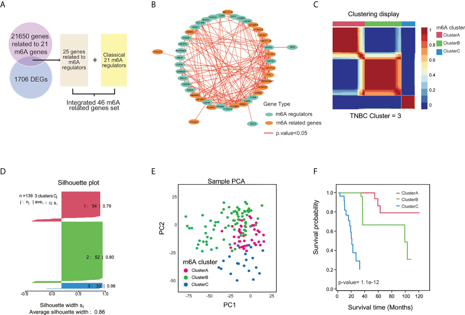 Frontiers | Identification of m6A modification patterns and development of m6A–hypoxia ...