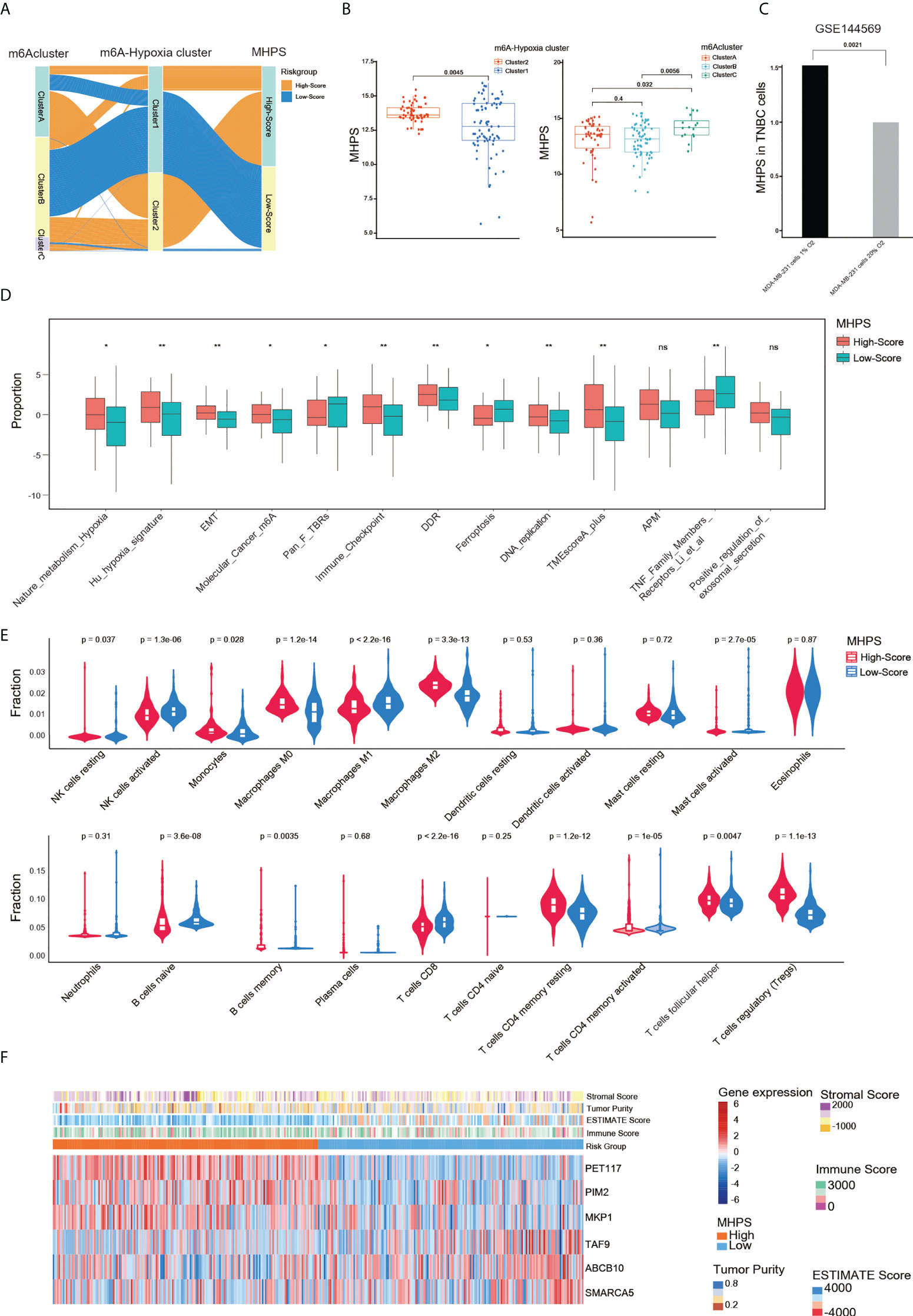 Frontiers | Identification of m6A modification patterns and development of m6A–hypoxia ...
