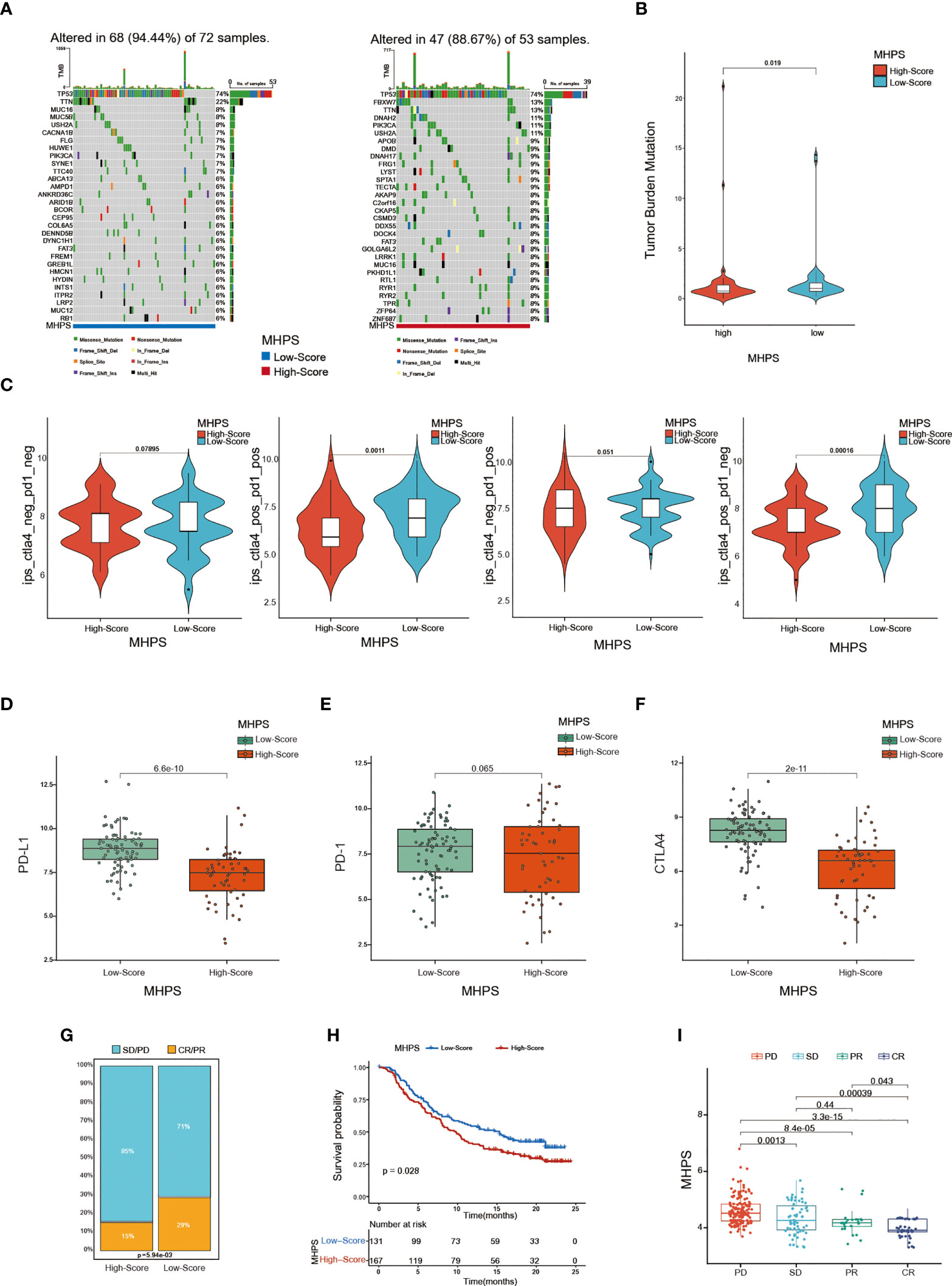 Frontiers | Identification of m6A modification patterns and development of m6A–hypoxia ...