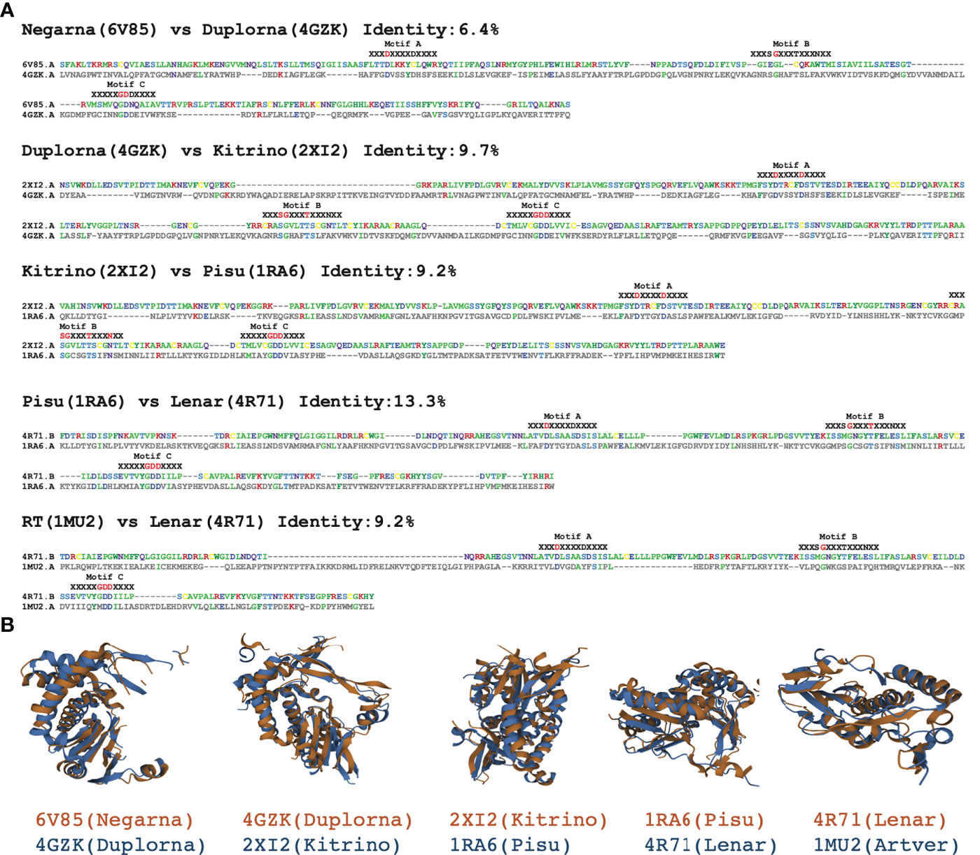 Frontiers Global Phylogenetic Analysis Of The RNA dependent RNA 