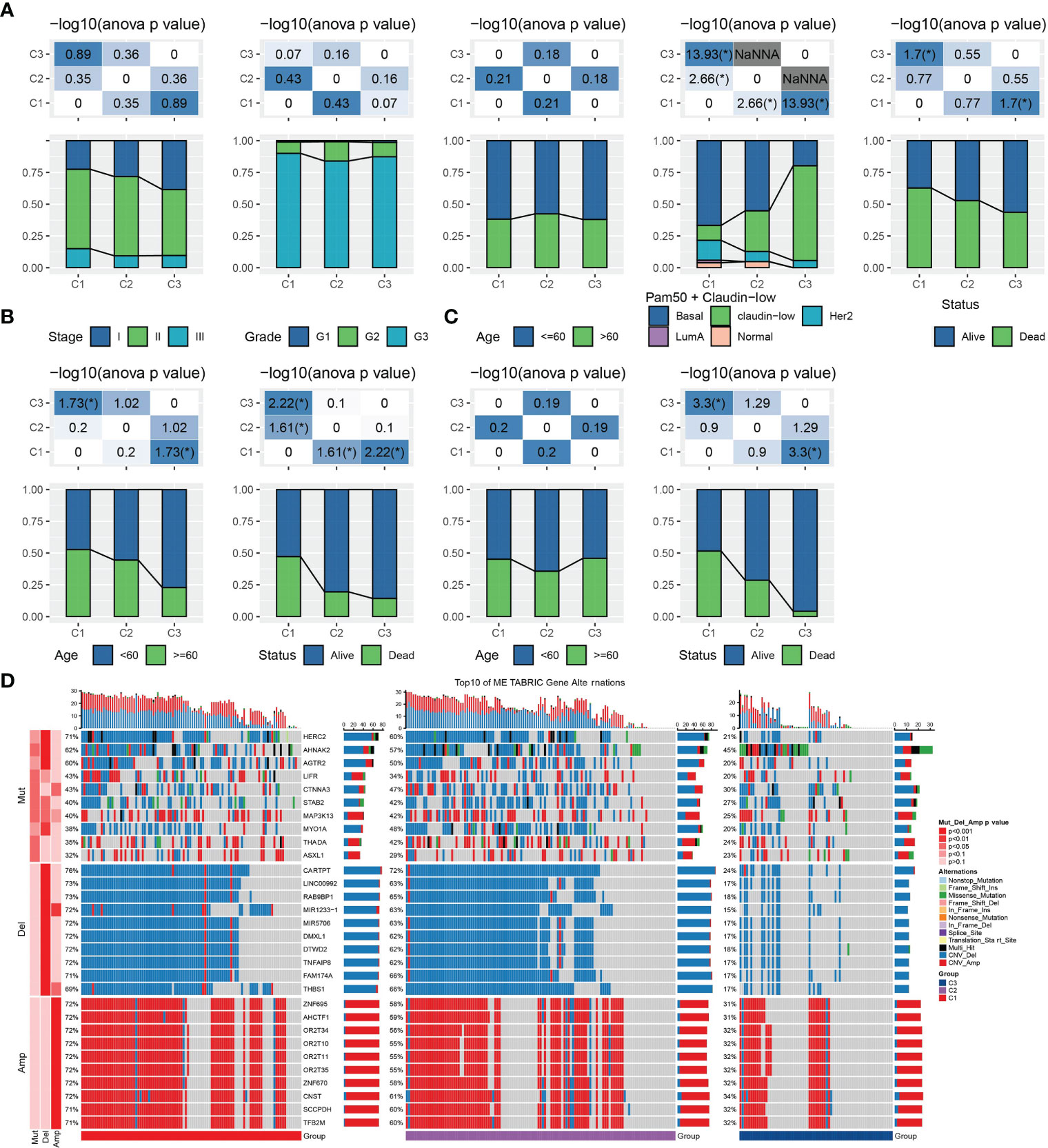 Frontiers The Molecular Subtypes Of Triple Negative Breast Cancer