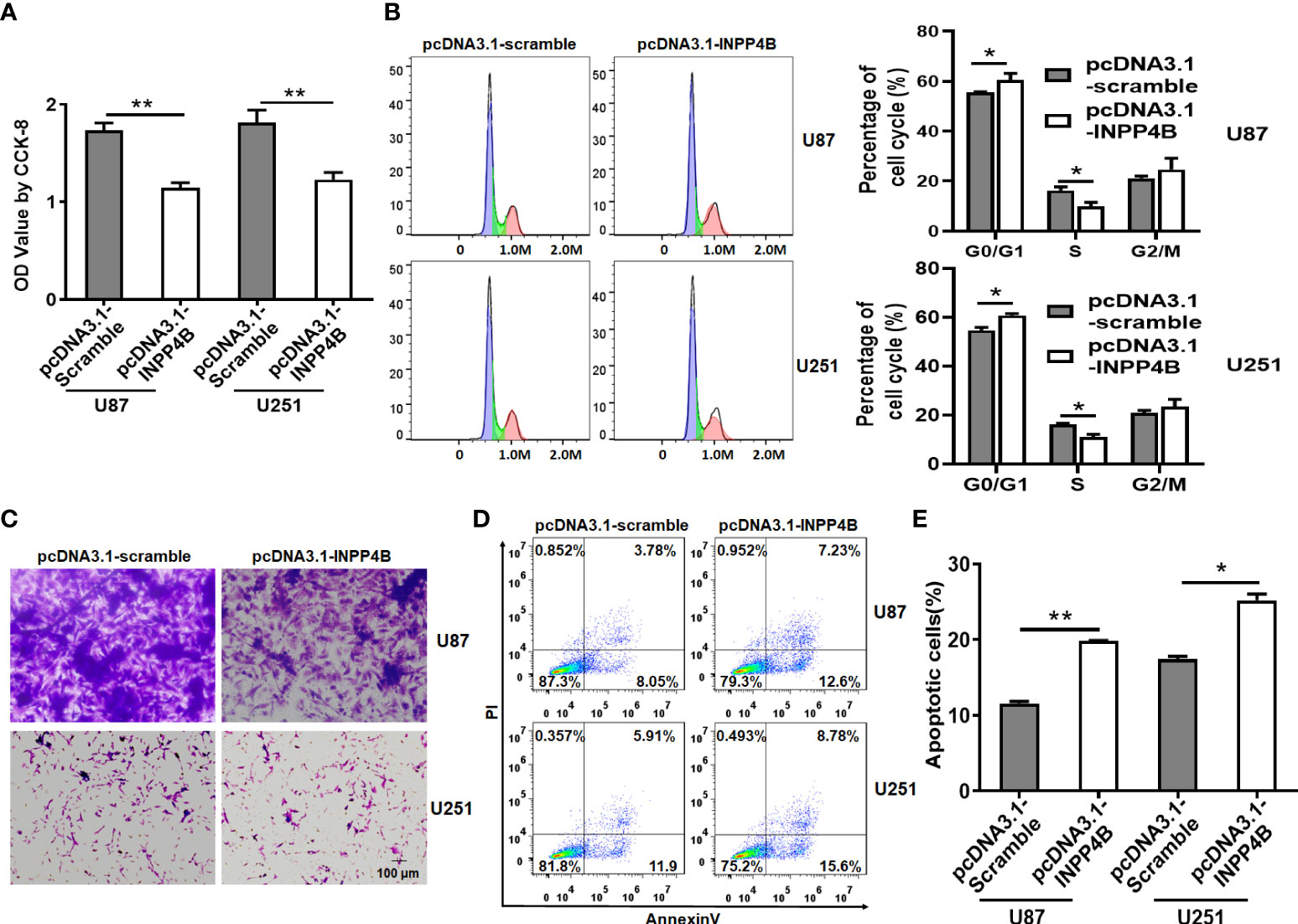 Frontiers Inpp4b Inhibits Glioma Cell Proliferation And Immune Escape