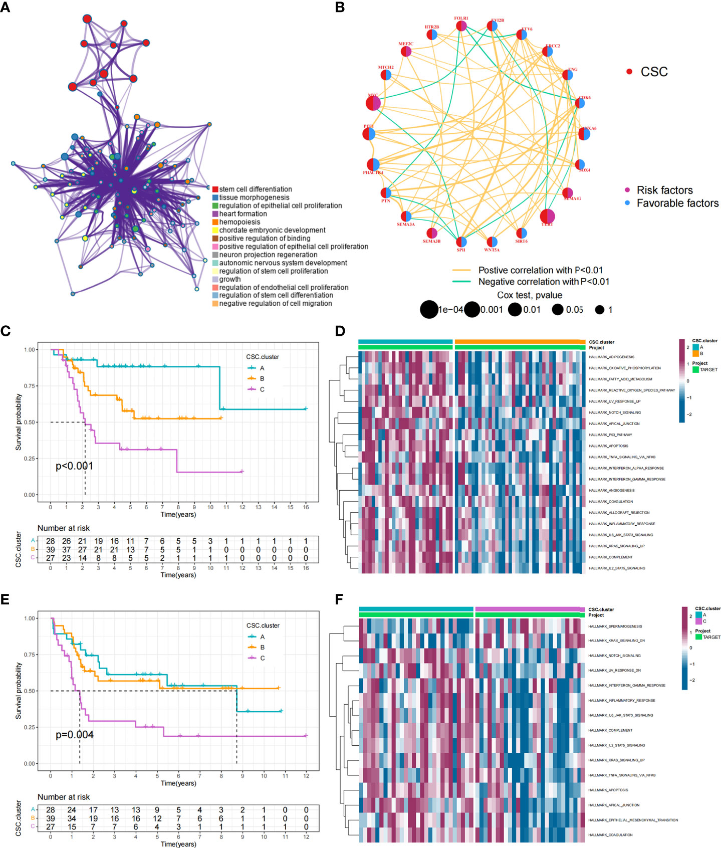 Frontiers Molecular Subtypes Of Osteosarcoma Classified By Cancer