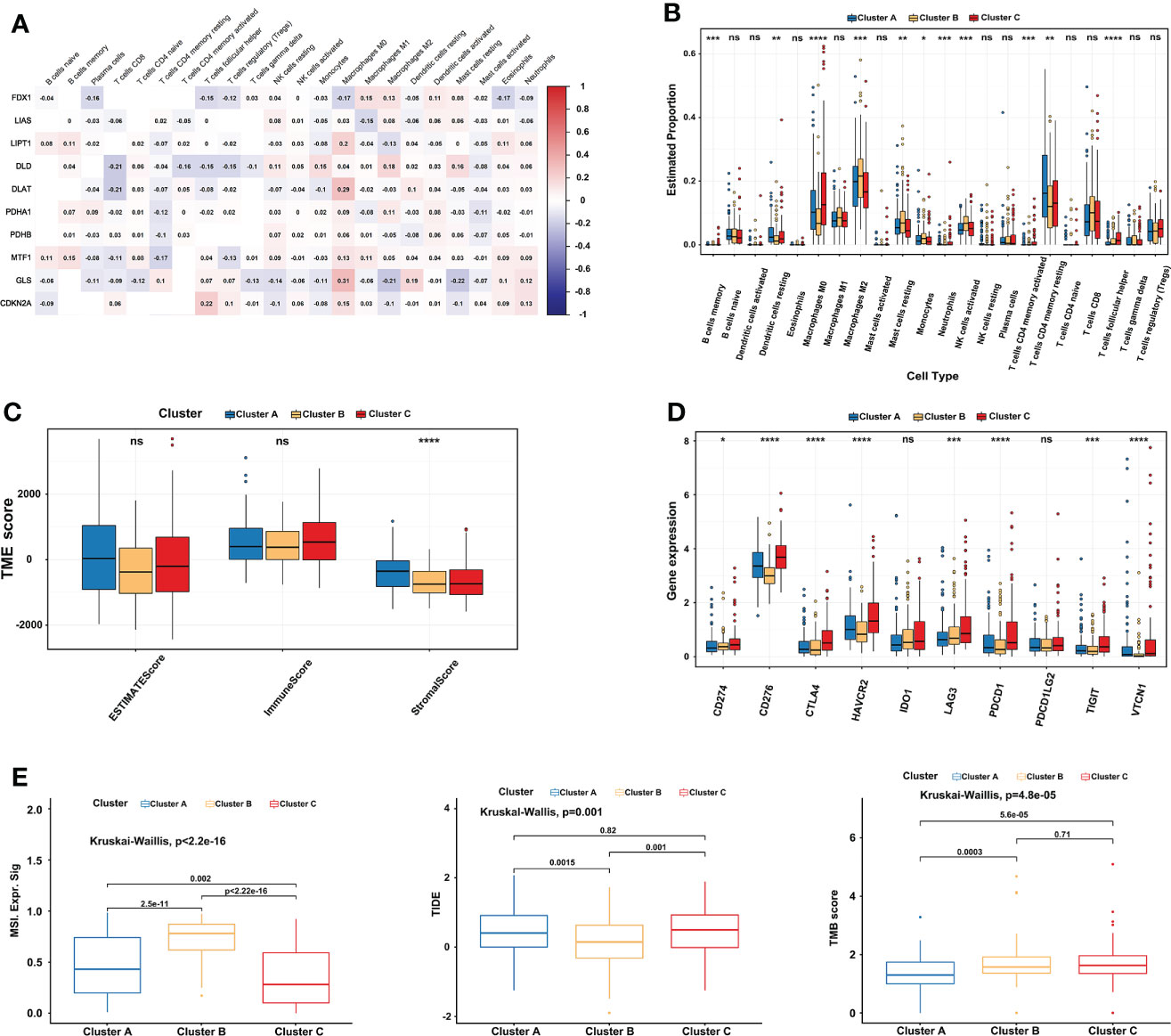 Frontiers Identification Of Cuproptosis Related Subtypes Cuproptosis