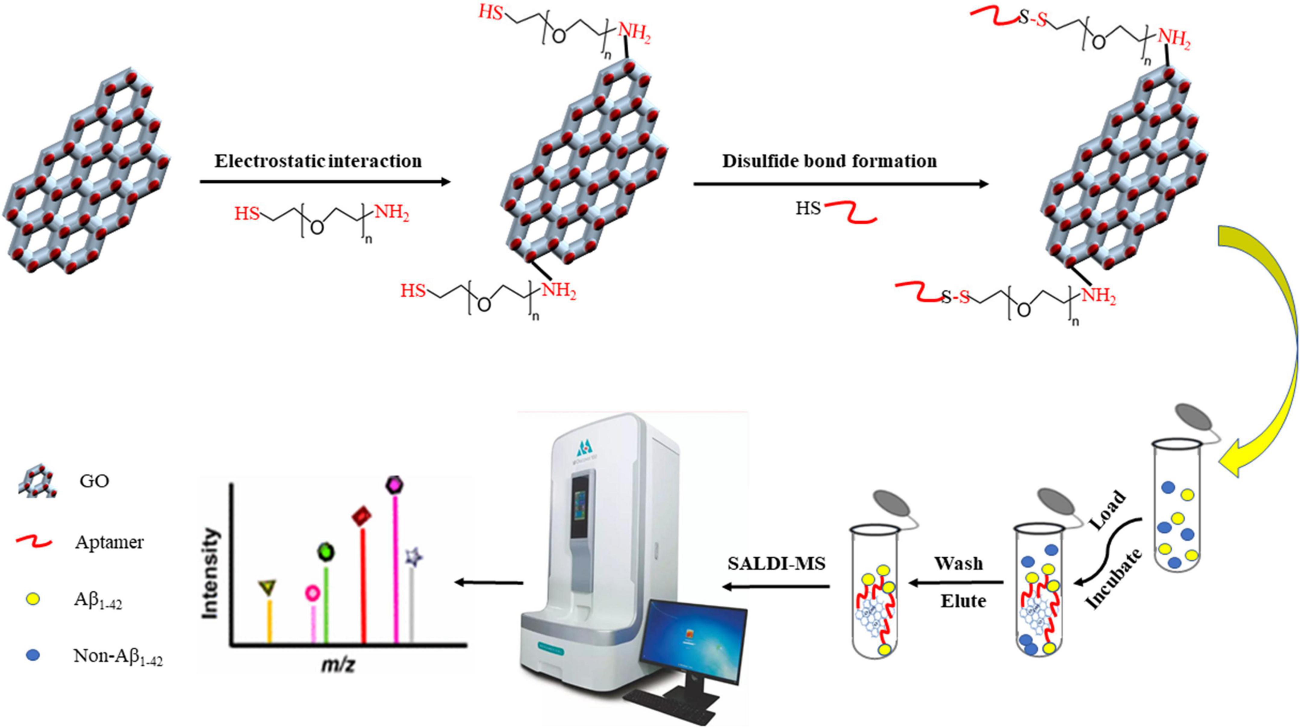 Figure 2 From Aptamer Based Surface Enhanced Raman Sc