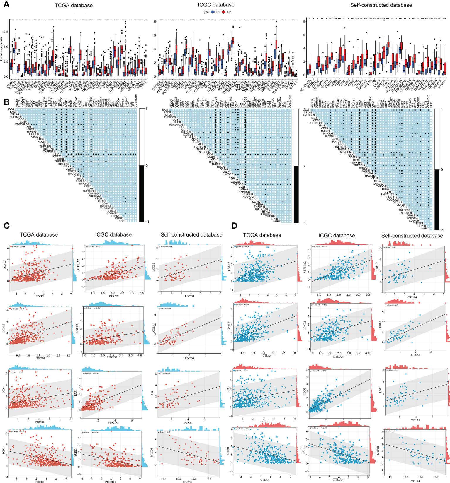 Frontiers Identification Of Copper Metabolism And Cuproptosis Related