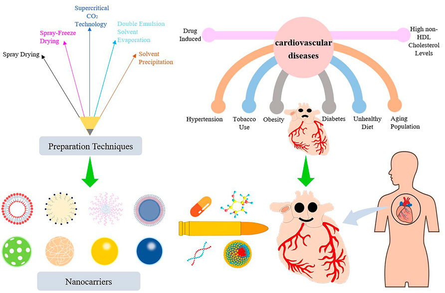 Frontiers Nanoparticle Based Drug Delivery Systems For The Treatment