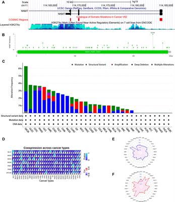Frontiers | Systematic pan-cancer analysis of the nicotinamide n ...