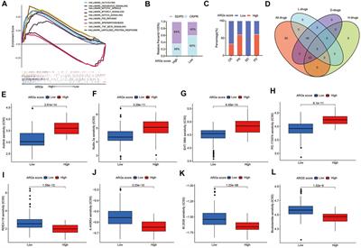 Frontiers | A novel angiogenesis-based molecular signature related to ...