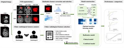 Frontiers | MRI radiomics-based machine learning model integrated with ...