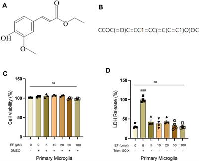 Frontiers | A monoamine oxidase B inhibitor ethyl ferulate suppresses ...