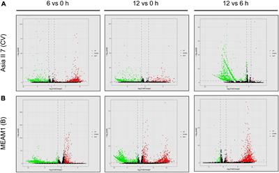 Frontiers | Comparative transcriptome profiling reveals a network of ...
