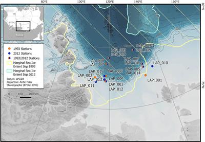 Frontiers | Effects of sea ice retreat and ocean warming on the Laptev ...
