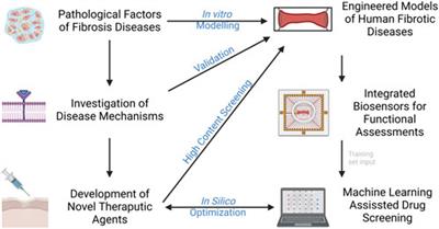 Frontiers | Intersection of stem cell biology and engineering towards ...