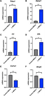 Frontiers | Characterization of mesenchymal stem cells in pre-B acute ...