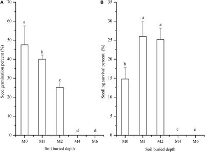 Frontiers | The effects of hydrological connectivity blocking on Suaeda ...