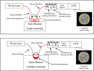 Frontiers | Experimental characterization of diffuse speckle pulsatile ...