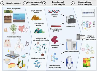Frontiers | Advances in experimental and computational methodologies ...