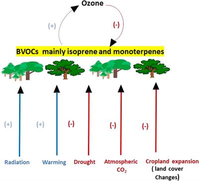 Frontiers | Tropospheric ozone and its natural precursors impacted by ...