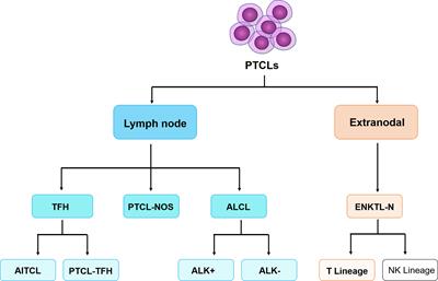 Frontiers | Differential diagnosis and identification of prognostic ...