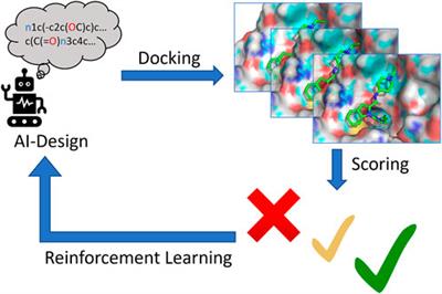 Frontiers | Optimizing interactions to protein binding sites by ...