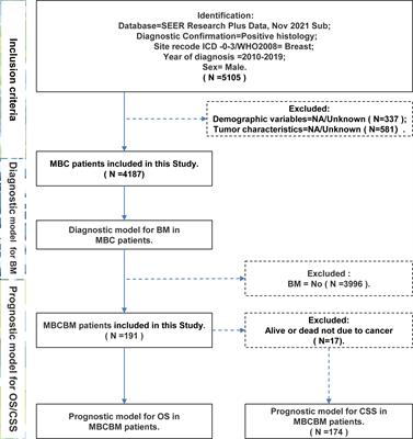 Frontiers | Risk stratification system and visualized dynamic nomogram ...
