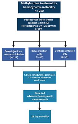 Frontiers | Methylene blue dosing strategies in critically ill adults ...
