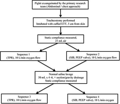 Frontiers | Positive end expiratory pressure and respiratory system ...