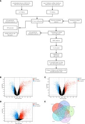 Frontiers | Identification of cross-talk pathways and ferroptosis ...