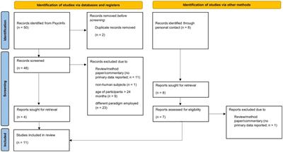 Frontiers | Frequency tagging with infants: The visual oddball paradigm