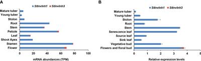 Frontiers | Functional characterization of a cell wall invertase ...
