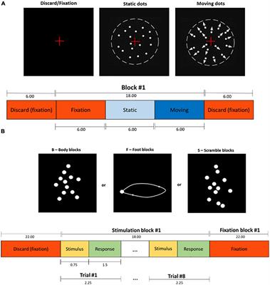 Frontiers | Task-based functional MRI challenges in clinical ...
