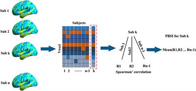 Frontiers | Higher brain structural heterogeneity in schizophrenia
