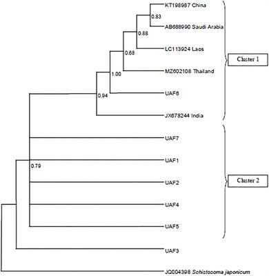 Frontiers | Prevalence, risk factors and first record of mitochondrial ...