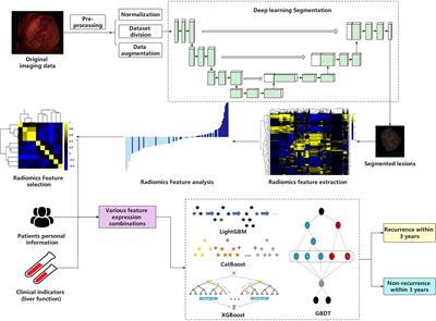Frontiers | Ensemble learning based on efficient features combination ...