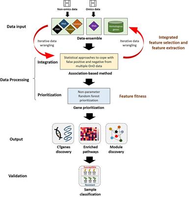 Frontiers | An advanced systems biology framework of feature ...