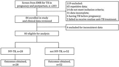 Frontiers | Association of in vitro fertilization with maternal and ...