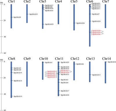 Frontiers | Genome-wide identification, expression and salt stress ...