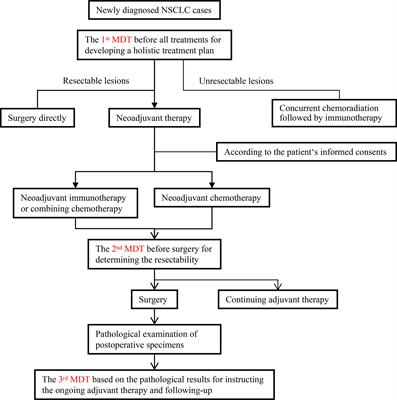 Frontiers | Neoadjuvant immunotherapy combined with chemotherapy ...