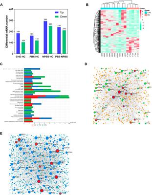 Frontiers | Exploring the “gene–protein–metabolite” network of coronary ...