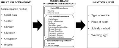 Frontiers | Linking suicide and social determinants of health in South ...
