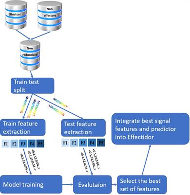 Frontiers | Natural language processing approach to model the secretion ...