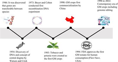 Genetically Modified Soybeans Process