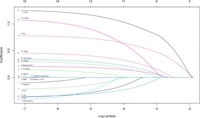 Frontiers | LASSO-based machine learning models for the prediction of ...
