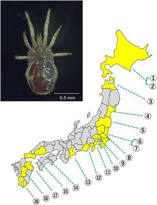 Frontiers | Genetic variations and microbiome of the poultry red mite ...