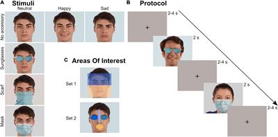 Frontiers | Facial mask disturbs ocular exploration but not pupil ...