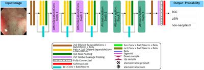 Frontiers | Automatic classification of gastric lesions in gastroscopic ...